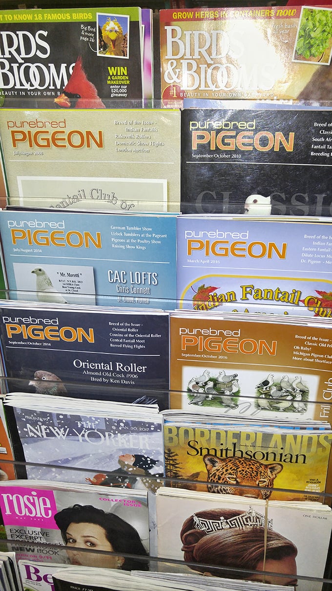 From Purebred Pigeon to The New Yorker, the magazine rack offers literary treasures spanning every possible interest &ndash; even ones you didn't know you had.