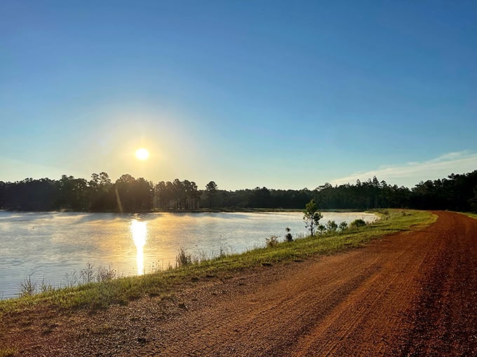 Sunrise over still waters creates the kind of moment no Instagram filter could improve&mdash;nature's own masterpiece at Magnolia Wildlife Reserve.