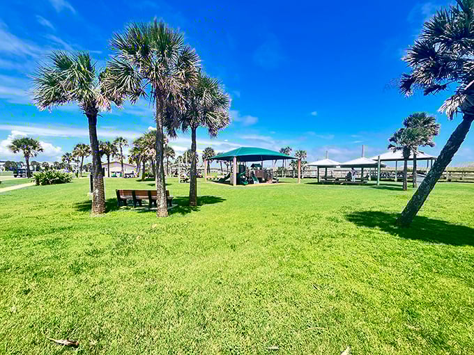 Main Beach Park's grassy oasis provides the ideal spot for watching dolphins play while debating which local seafood joint deserves dinner reservations.