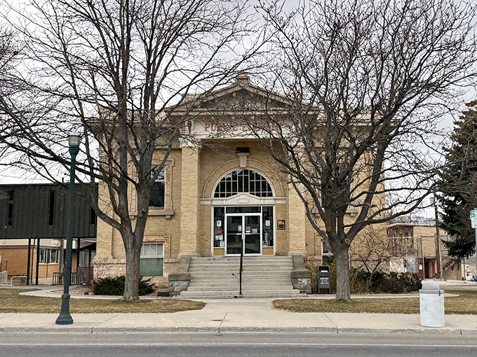 The Carnegie Library isn't just architecturally stunning; it's a reminder of when Andrew Carnegie was America's original library influencer.