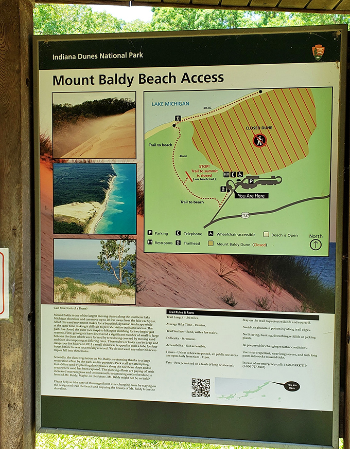 The treasure map to Indiana's coastal secret. X marks the spot where Midwesterners discover they don't need plane tickets for beach therapy.