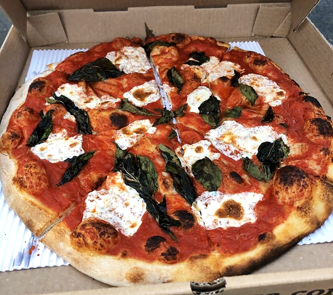 The Margherita pizza in all its glory &ndash; where tomato sauce, fresh mozzarella, and basil perform a three-act play that ends with a standing ovation.