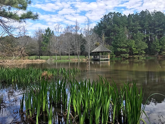 This tranquil gazebo at Mary Ann Brown Nature Preserve isn't just Instagram-worthy&mdash;it's soul-worthy, offering peaceful reflection beside still waters.