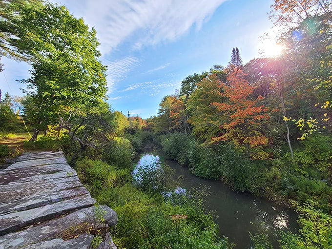 Mast Landing's autumn colors create a masterpiece that would make Bob Ross reach for extra burnt sienna. 