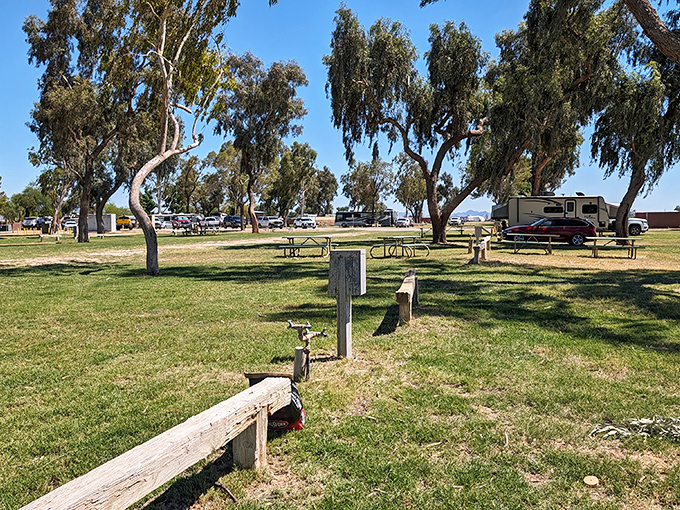 Mayflower Park offers shaded respite where RVers gather like modern pioneers, swapping stories instead of wagon wheel repair tips.