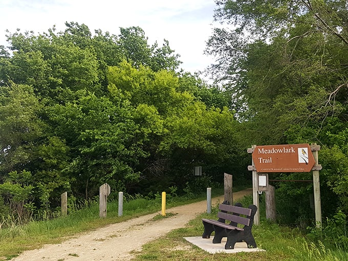 The Meadowlark Trail welcomes you with a bench and shade&mdash;nature's way of saying "take your time."