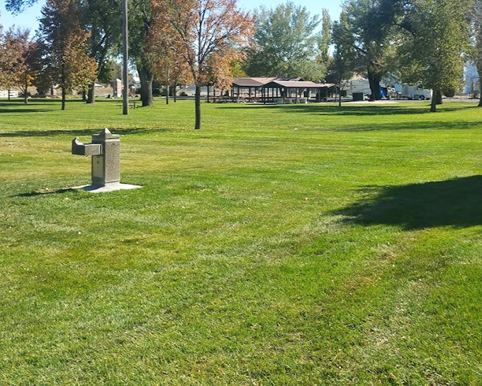 Memorial Park's green expanse offers breathing room under cottonwood trees, the kind of space cities forgot how to create.