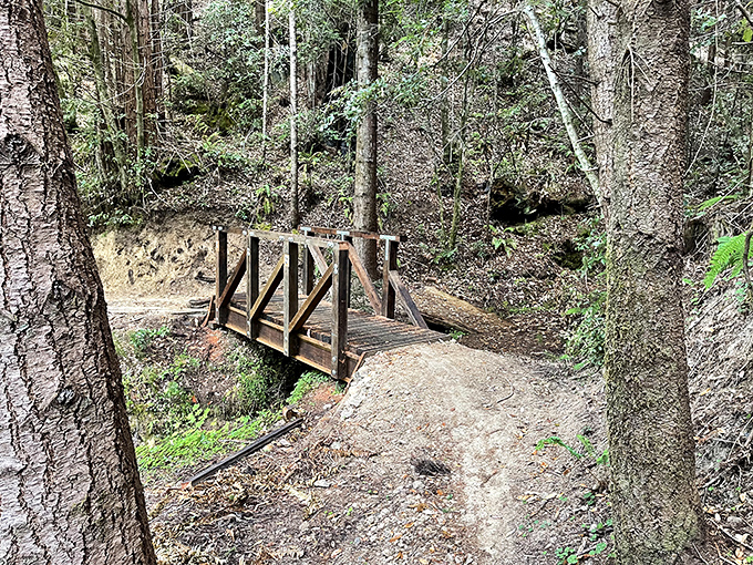 Nature's own architectural marvel &ndash; a simple wooden footbridge invites hikers to cross into adventures worthy of a Tolkien novel.