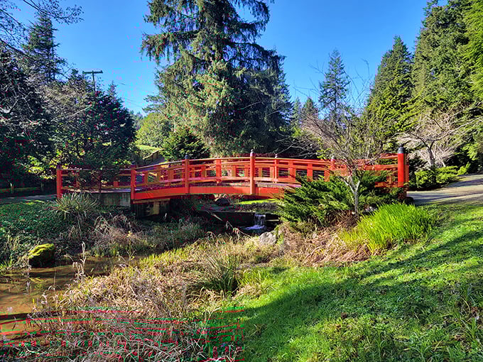 This crimson footbridge at Mingus Park is straight out of a Japanese woodblock print. Cross it and feel transported, no passport required.