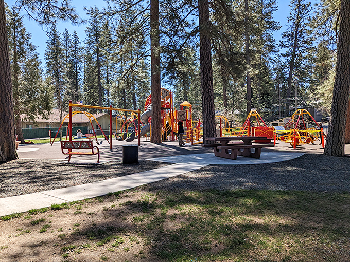 Beneath towering pines, this playground offers the soundtrack every parent knows: squealing joy, creaking swings, and the occasional "Watch me!" from daring climbers.