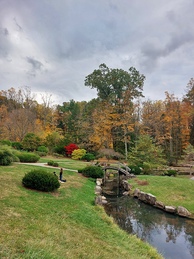 Mission Oaks Gardens offers a tranquil escape where autumn paints with a palette that would make Bob Ross weep with joy.