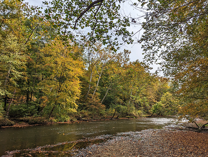 The Mohican River curves through autumn foliage that looks like Mother Nature showing off her entire paint collection at once.