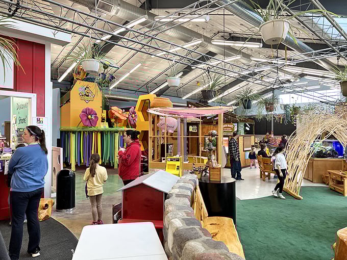 The Discovery Museum offers hands-on fun that bridges generations. Remember when entertainment didn't require charging cables or software updates?