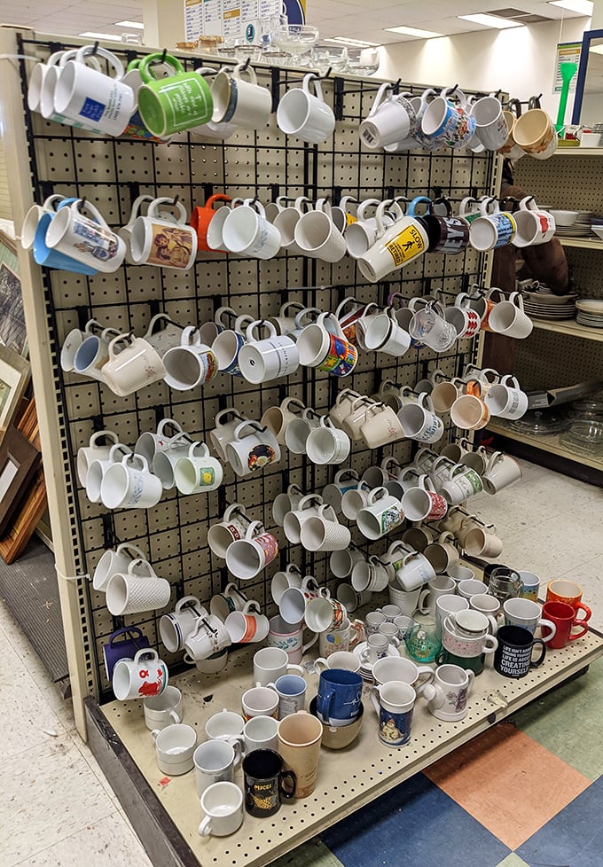 Mug madness! This pegboard paradise holds hundreds of morning coffee vessels, each with its own personality and previous life story.