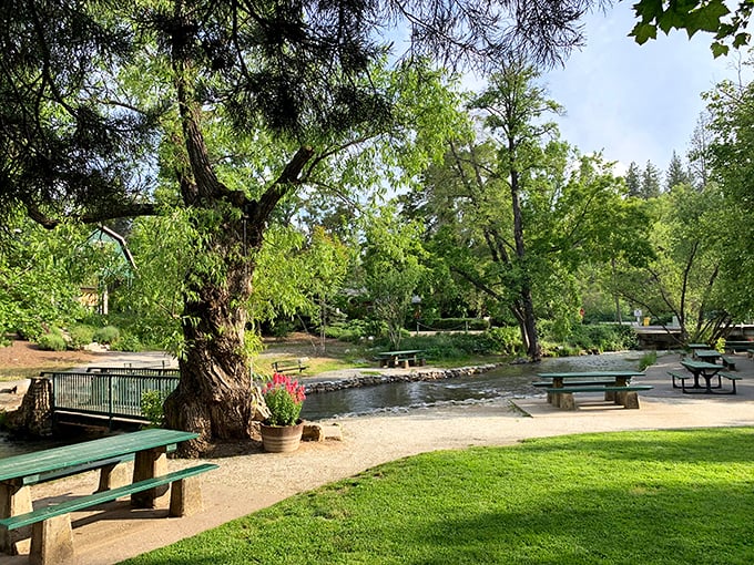 Murphys Community Park offers the simple pleasures we've all forgotten: picnic tables by flowing water, shade trees, and not a single notification ping in earshot.