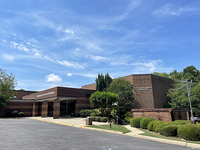 The Museum of Arts and Sciences beckons with promises of culture that won't require a second mortgage to enjoy.