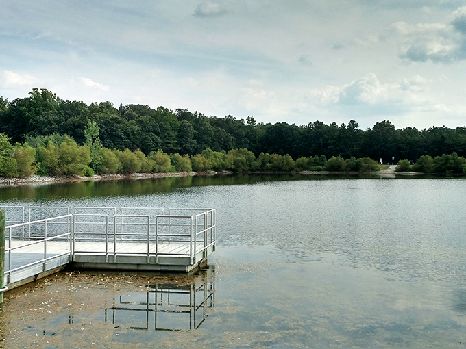 This serene pond offers a moment of reflection&mdash;literally and figuratively&mdash;away from the hustle that most Delawareans left behind generations ago.
