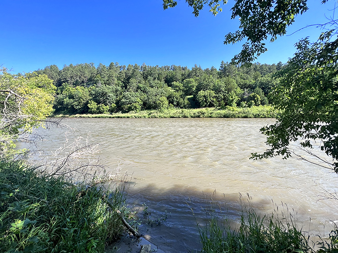 The mighty Niobrara River carves its path through Nebraska's northern wilderness, a lifeline for countless creatures.