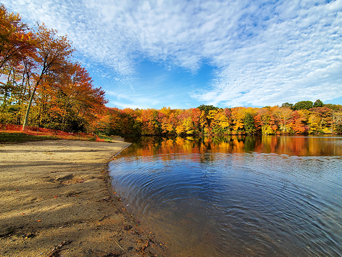 Fall foliage reflected in Nystrom's pond &ndash; nature's own Instagram filter that doesn't require a subscription or agreeing to suspicious terms and conditions.