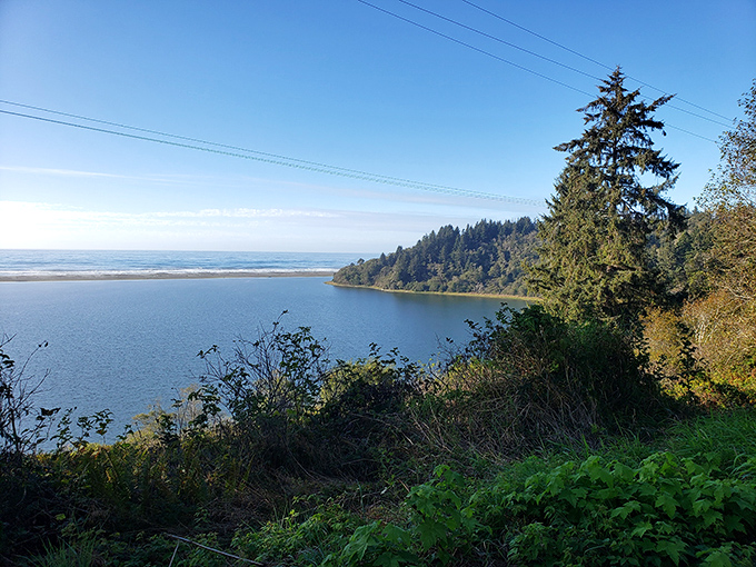 Where forest meets ocean in perfect harmony. This viewpoint offers a front-row seat to California's most impressive geographical collaboration.