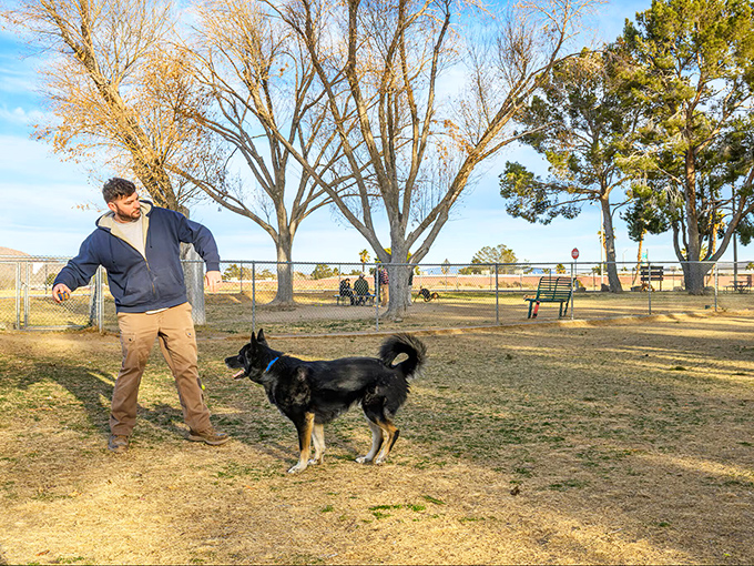 Man's best friend gets the five-star treatment at Ridgecrest's dog park, where canine social circles form faster than at a Hollywood cocktail party.