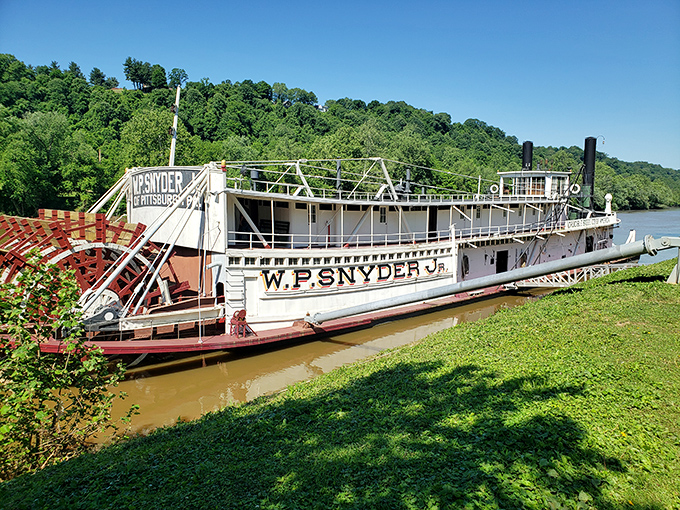 The W.P. Snyder Jr. sits pretty on the river, a floating time machine with better views than most penthouses.