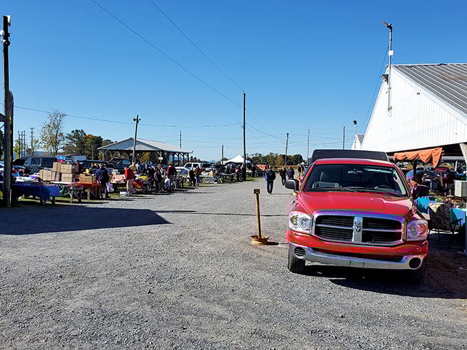 The outdoor market buzzes with activity under clear Pennsylvania skies. Cars and canopies create the classic flea market landscape.