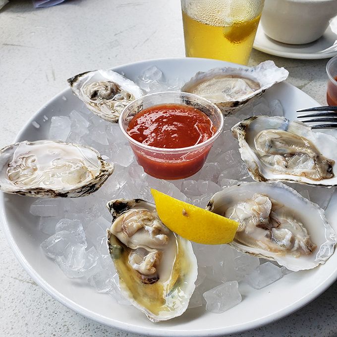 Fresh oysters on ice – nature's perfect appetizer, requiring nothing more than a squeeze of lemon and good company.
