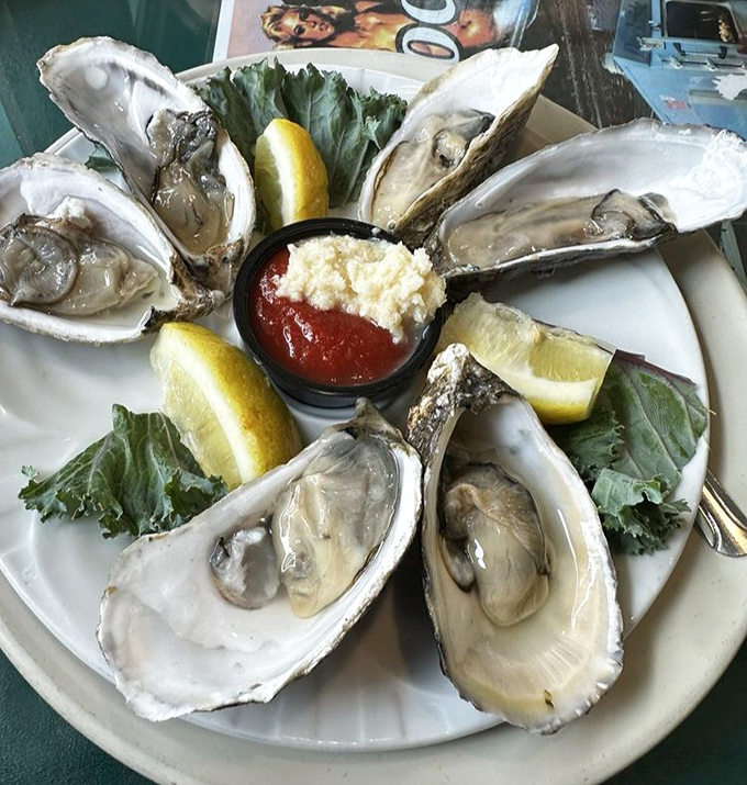 These oysters aren't just served—they're presented like the coastal jewels they are. That little cup of cocktail sauce is just waiting to spice up your relationship with shellfish.