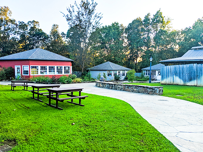 At the Ozark Folk Center, picnic tables await your homemade sandwich while history waits to give you a friendly nudge.
