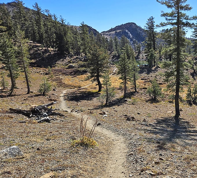 The Pacific Crest Trail near Etna Summit beckons hikers with promises of solitude and views that no Instagram filter could improve.