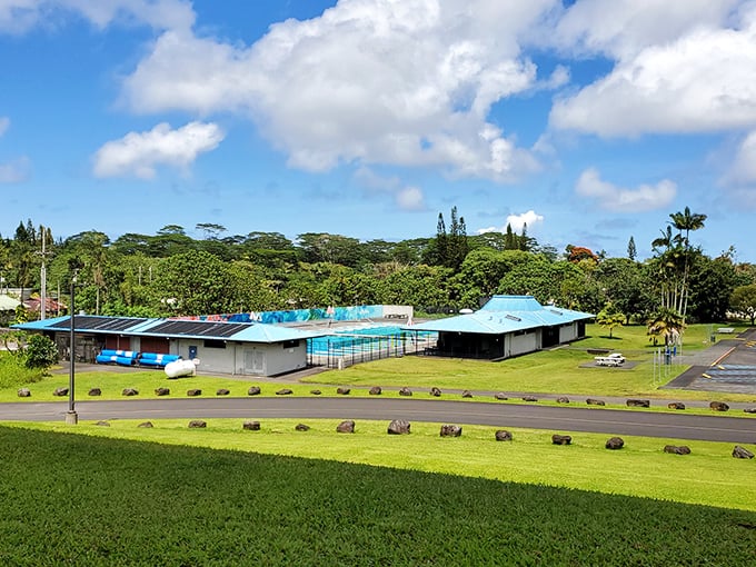 The Pahoa Aquatic Center offers a refreshing escape from the tropical heat. Swimming in paradise without dodging sea turtles!
