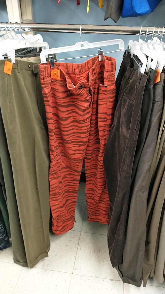 Those tiger-striped pants aren't just clothing &ndash; they're conversation starters waiting for the right brave soul to adopt them.