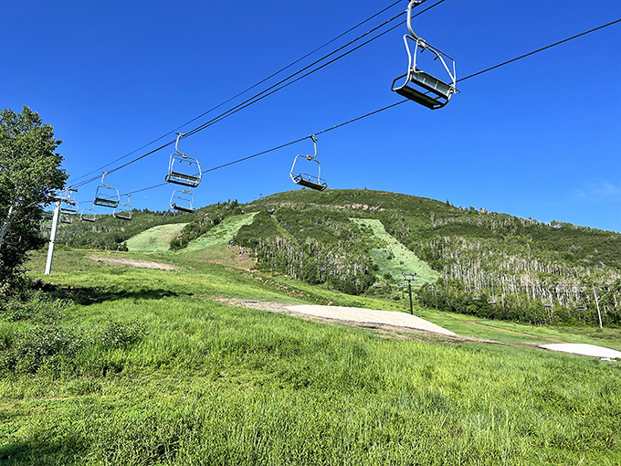 Summer reveals Park City Mountain's secret identity: a verdant playground where chairlifts float over wildflower meadows instead of snowy slopes.