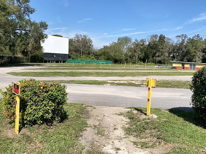 The FM station number (93.1) prominently displayed on the screen's base&mdash;your car stereo becomes your personal surround sound system at this Florida gem.