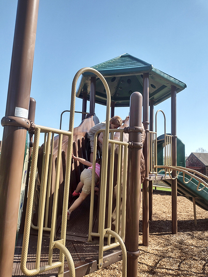 Adventure headquarters for the under-10 crowd, where energy is spent and imaginations run wild beneath towering pines.