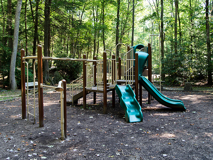 Jungle gym diplomacy: where kids negotiate the universal playground treaty of "I call dibs on the slide next!"