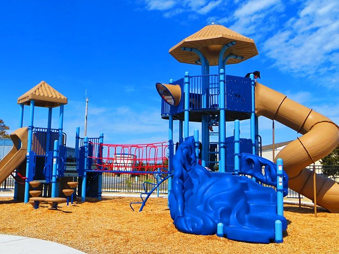 Even the playground gets the ocean view treatment because apparently Delaware doesn't believe in doing anything halfway.