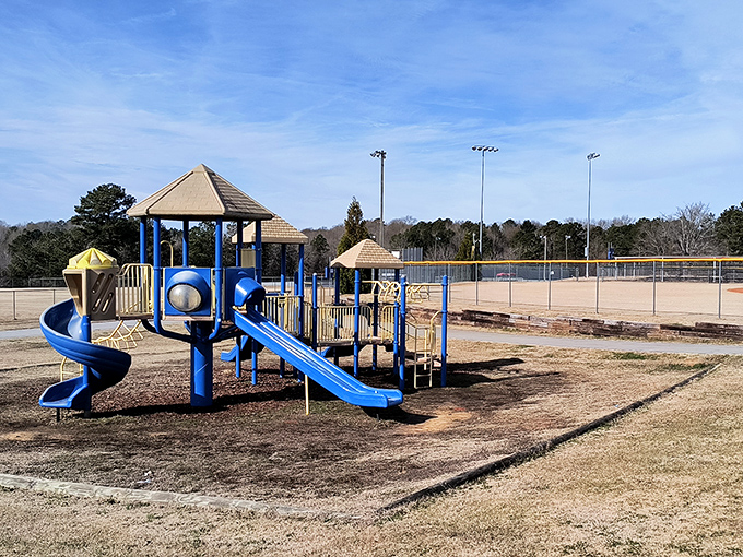 The playground equipment hasn't been replaced seventeen times because kids actually take care of things here.