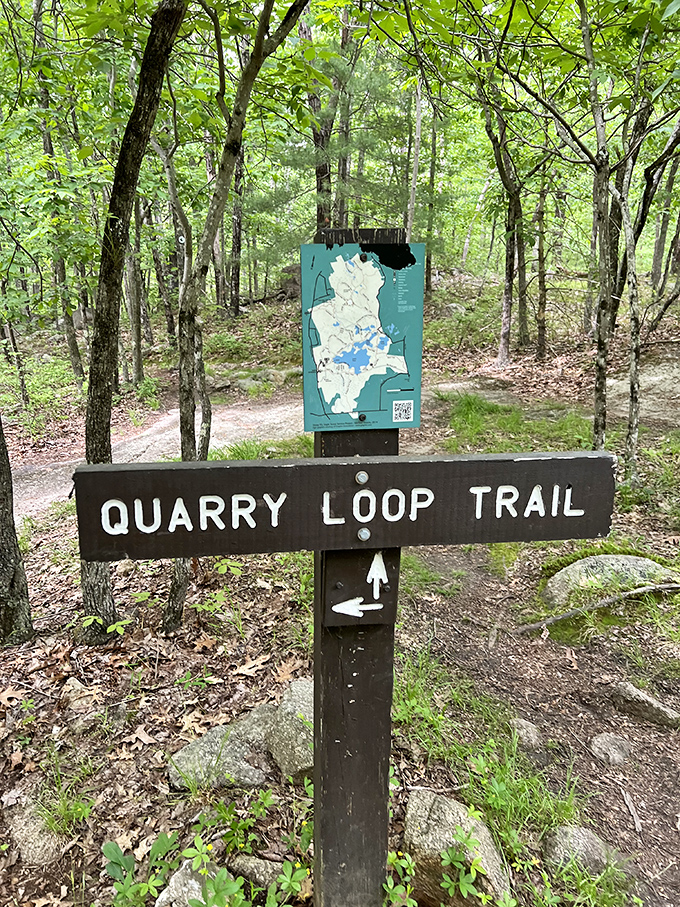 The Quarry Loop Trail sign: nature's version of "You Are Here," but with significantly better views than your local mall directory.