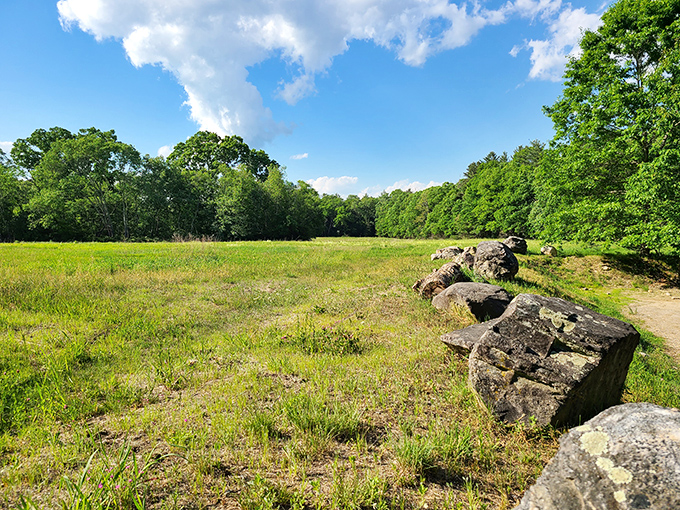 Nature reclaims its territory at this peaceful meadow. Those rocks have witnessed more history than your grandmother's photo albums.
