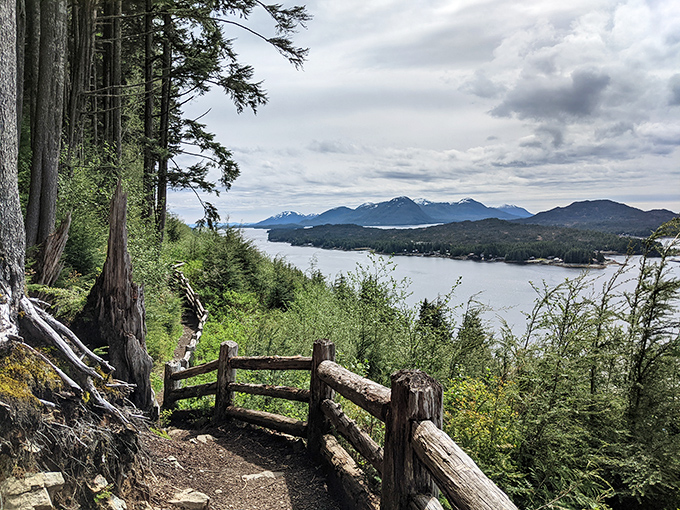 Nature's balcony with a million-dollar view. This trail offers the kind of panorama that makes smartphone cameras weep with inadequacy.