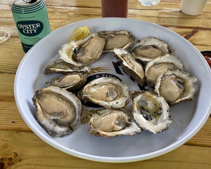These plump Apalachicola oysters aren't just seafood&mdash;they're a geography lesson in a shell. The perfect balance of sweet and briny that only these waters can produce.