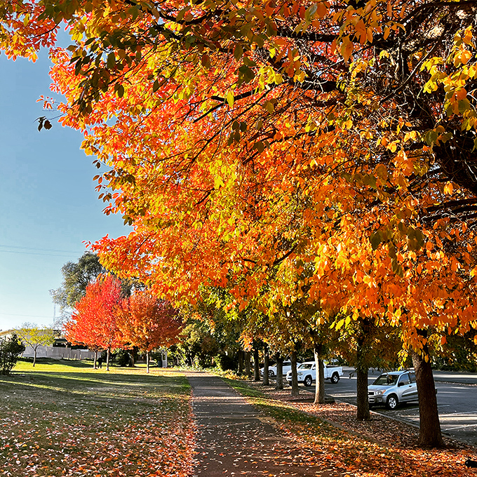 Recreation Park delivers autumn colors that would make Vermont jealous &ndash; without the need for long-johns and snow boots.