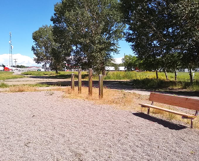 A simple bench with a million-dollar view. In Alamosa, even the quiet moments come with spectacular mountain backdrops that big-city folks pay fortunes to visit.