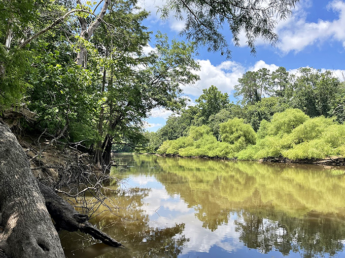 The Neuse River reflects the sky like nature's mirror, creating double the beauty for half the effort.