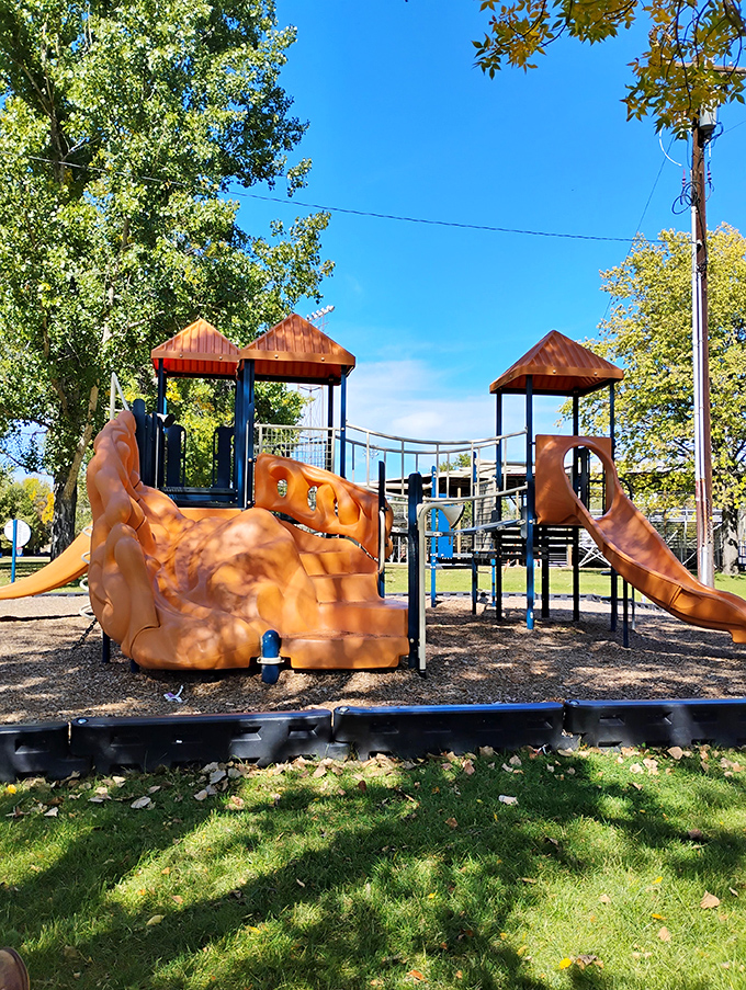 Modern playground equipment bathed in Montana sunshine. Where kids burn energy and parents secretly wish they could join in.