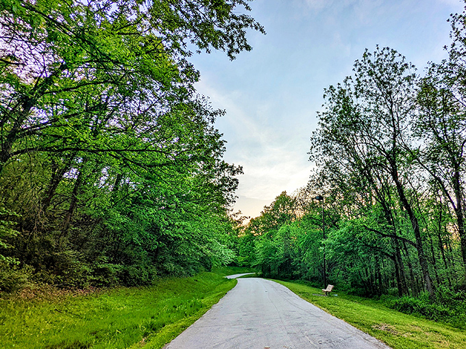 Nature's cathedral awaits on Boonville's trails. This winding path through lush greenery offers the kind of peace you can't download from an app.