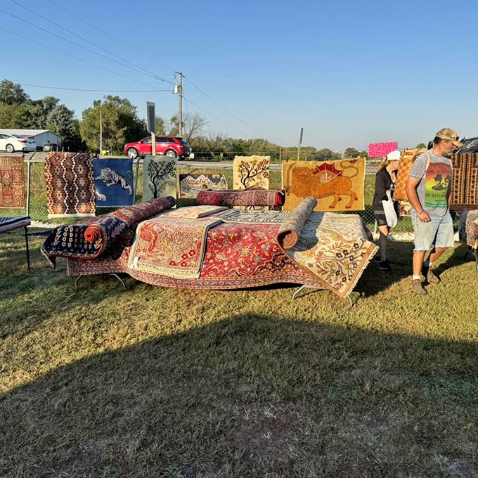 A colorful array of handwoven rugs unfurled in the sunshine, each pattern telling its own story. Imagine how one of these would warm up your hardwood floors!