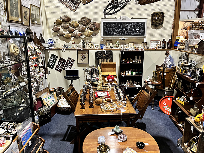 Where antique tables become stages for miniature worlds of collectibles. Every surface tells a different story.